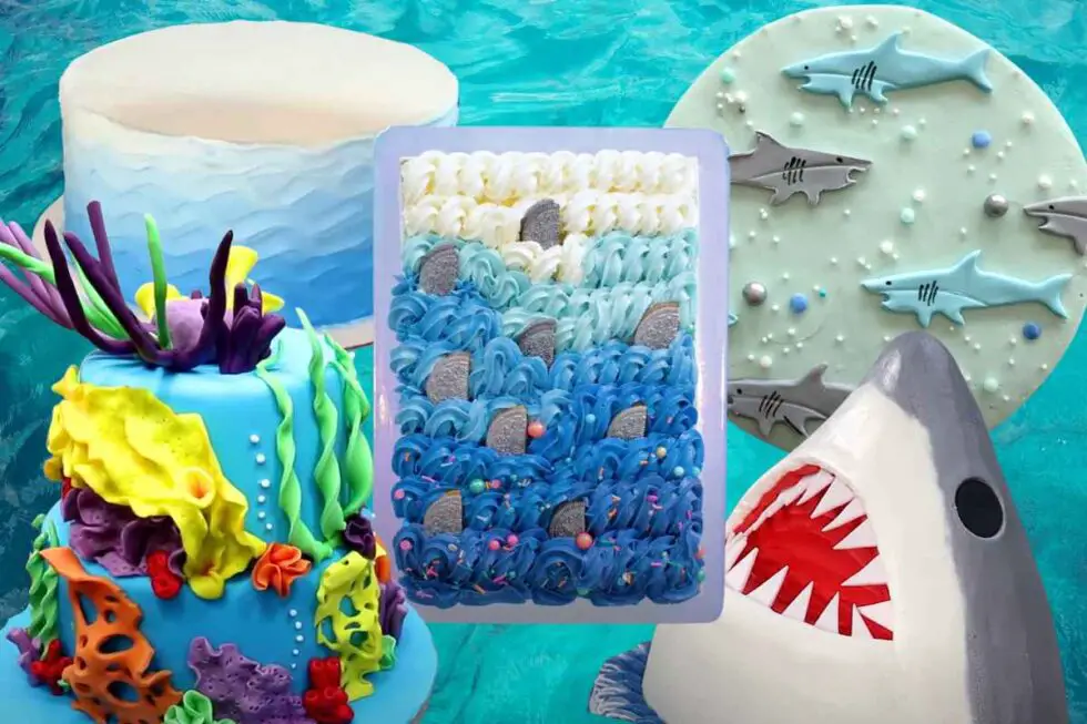 Shark Cake Ideas For An Unforgettable Party | Easy Kids Parties