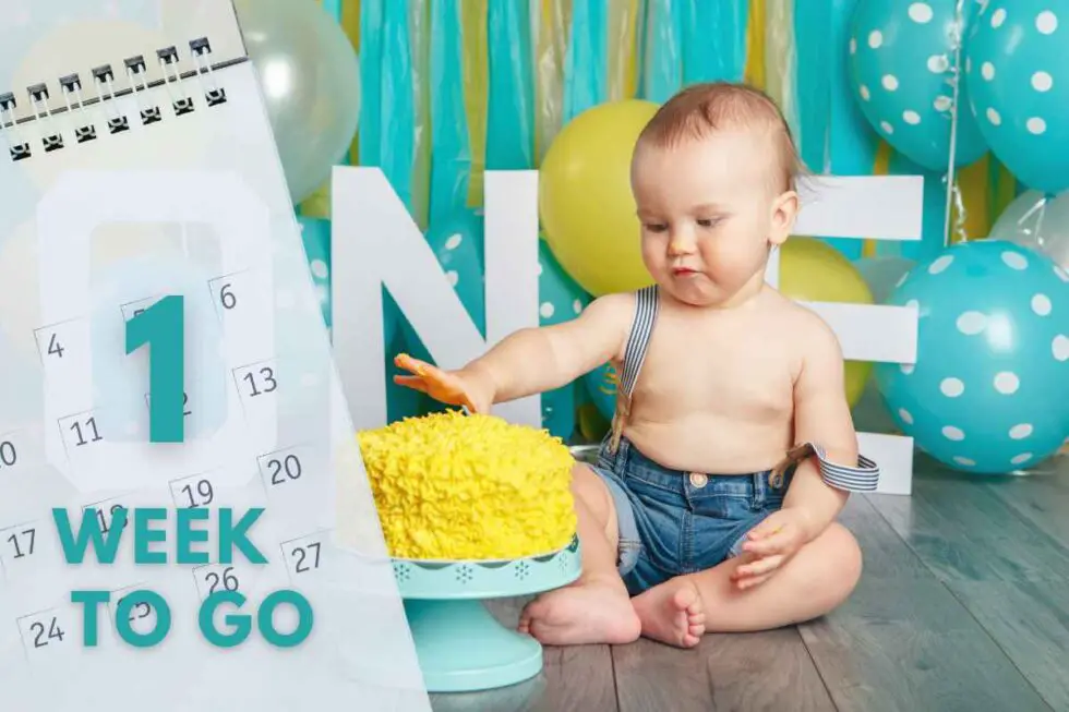 The Complete 1st Birthday Party Checklist